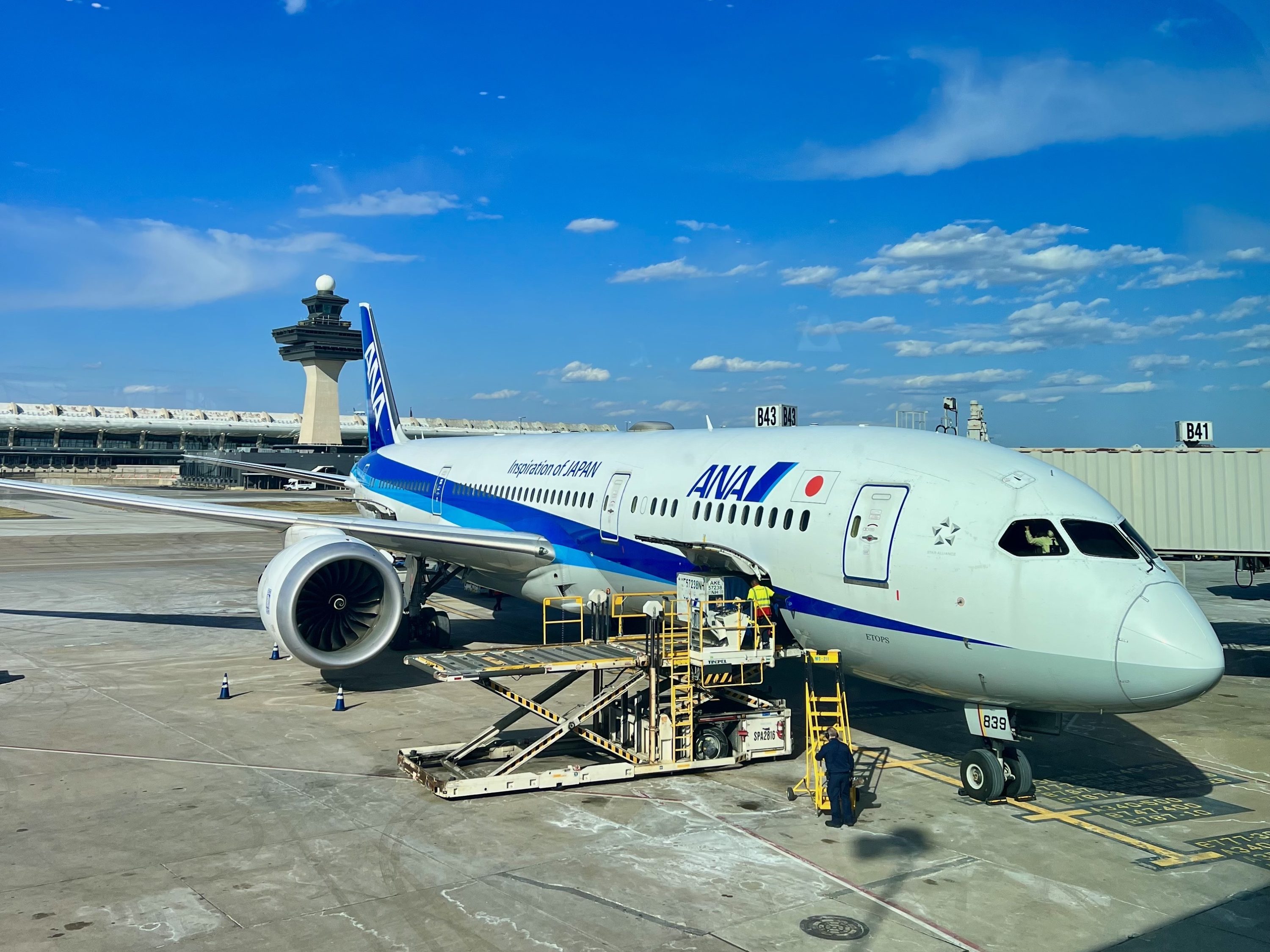 Portfolio & Freelance Work – Stella J. Shon